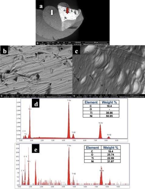 Representative Sem Micrograph And Edx Spectrum From A Tf Adaptive Download Scientific Diagram