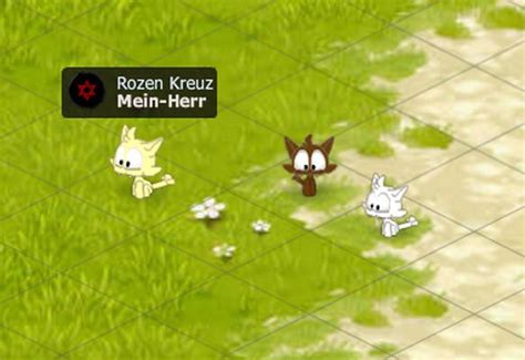 Dofus Cat Screen 1 By Akumatsu On Deviantart