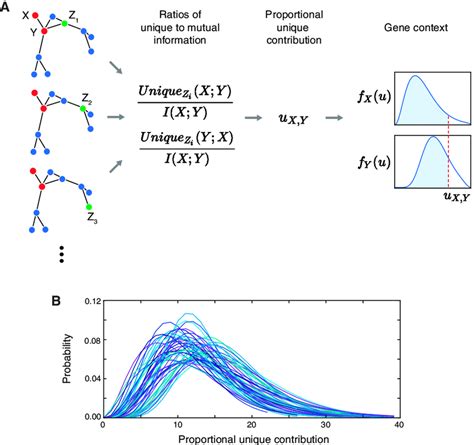 The Pidc Inference Algorithm A Schema Of The Pidc Inference Download Scientific Diagram