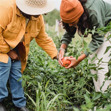 Unlock Lush Gardens Soil Nutrient Analysis Unveiled