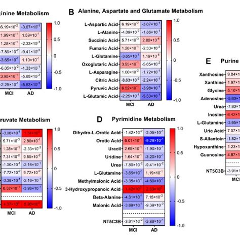 Heatmaps Of Metabolic Pathways Heatmaps Showing Metabolomic And