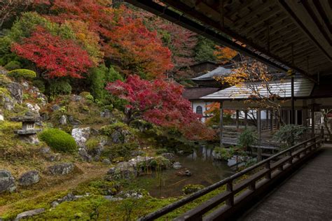 常照皇寺 紅葉の庭園 写真 アールクリエーション