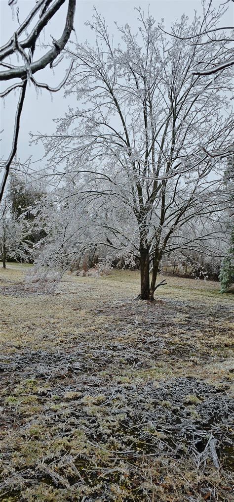 Reclass Reclass Added A New Photo