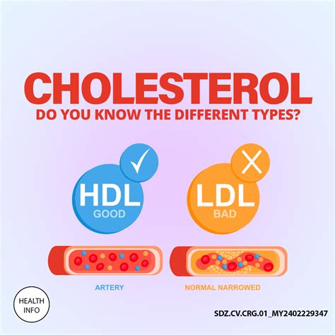 Cholesterol Do You Know The Different Types Caring Pharmacy