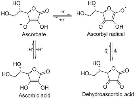 Scheme 1 Ionization Of Ascorbic Acid Followed By The Download