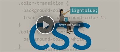 Css Essential Training