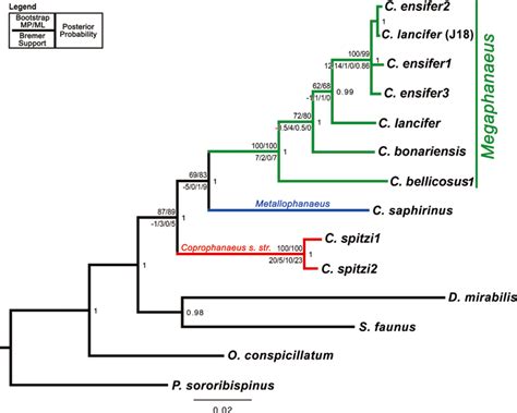 Bayesian Inference Consensus Of Four Molecular Markers Coi 16s 28s