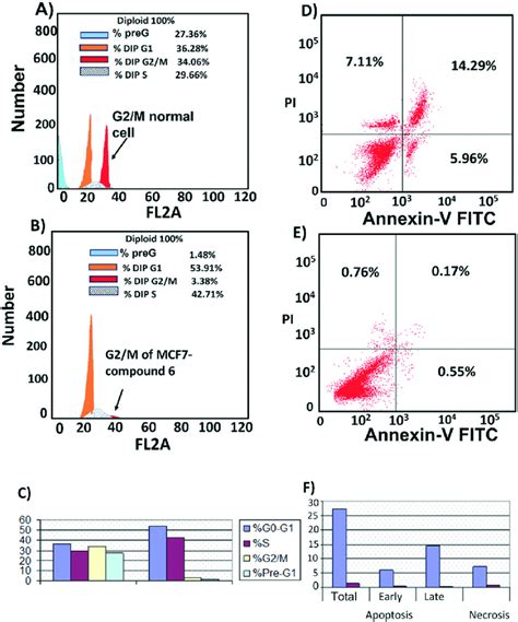 Cell Cycle Distribution Mcf 7 Cells Were Treated With A 01 Dmso