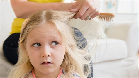 La Mejor Manera De Desenredar El Pelo Según Matemáticos De Harvard Infobae