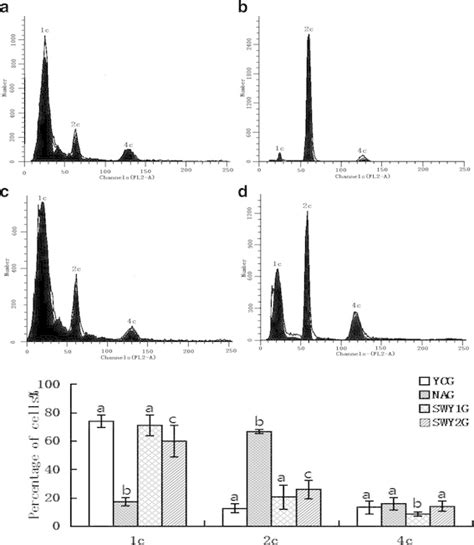 Cell Cycles In Different Experimental Groups Detected By Flow Download Scientific Diagram