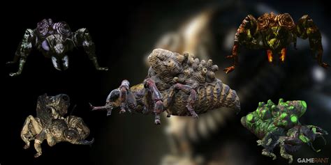 Where To Find Honey Beasts In Fallout 76