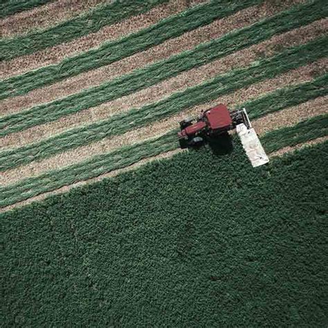 Data Annotation Workflow In Precision Agriculture Imerit