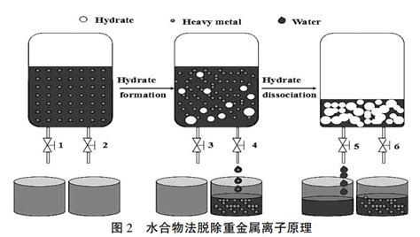 废水中重金属离子脱除方法
