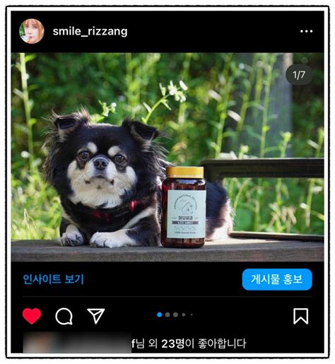 인스타그램 팔로워 늘리기 예스인스타 구매 좋아요 늘리기 방법 네이버 블로그