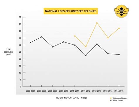Us Beekeepers Lose 40 Percent Of Hives Over Past Year