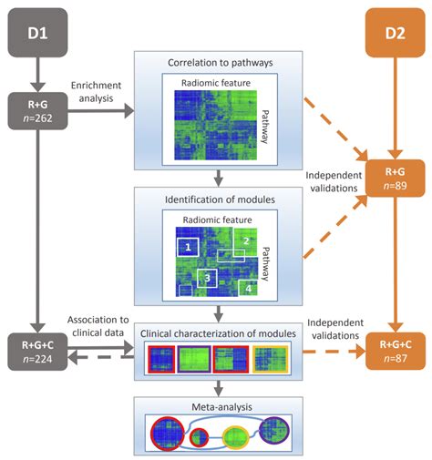 细说影像组学 生信研究玩法迭代！看看你的研究在第几层？ 生物学 关联 特征