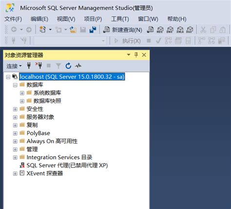 Docker 安装 Sql Server 2019，使用 Ssms 进行登录 Jinzesudawei 博客园