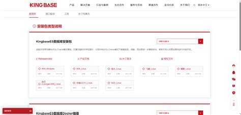 银河麒麟高级服务器v10arm安装人大金仓kingbasees完整教程arm安装kingbase Csdn博客
