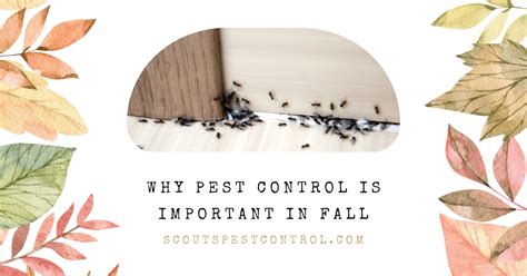 Why You Need Fall Pest Control
