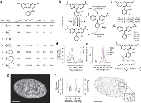 Development And Utility Of Jf549 A Spectroscopic Data For Rhodamines Download Scientific