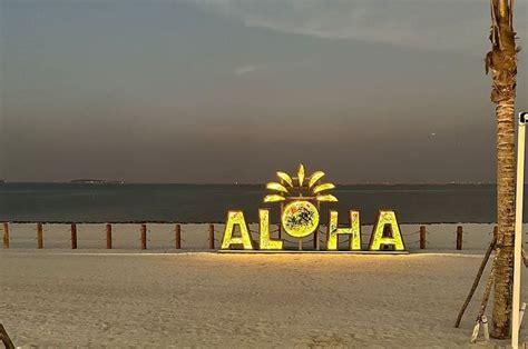 Aktivitas Seru Di Aloha Pasir Putih Hidden Gem Baru Di Pik Parapuan