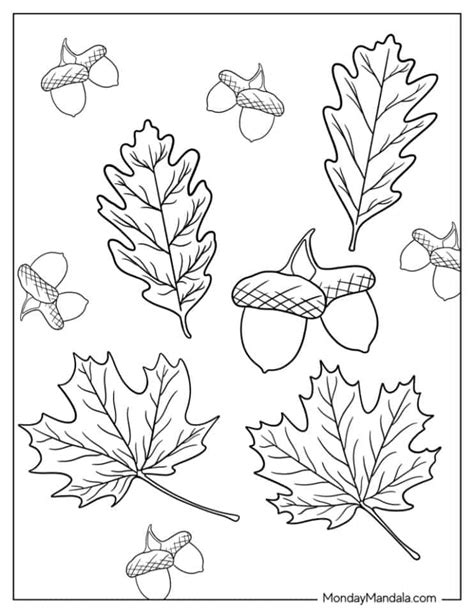 20 Fall Leaves Coloring Pages Free Pdf Printables
