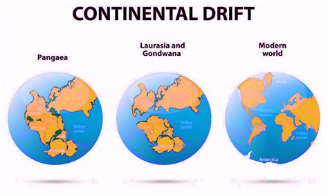 Continental Drift Diagram Quizlet