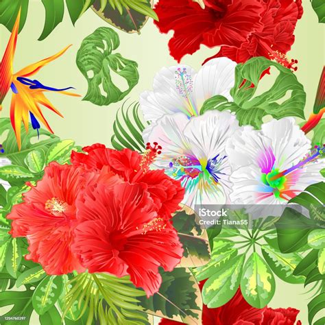 아름다운 핑크 레드 멀티 컬러 히비스커스와 스트렐리치아 셰프플레라 필로엔드론과 선조 자연 배경 빈티지 벡터 일러스트 편집 과 열대 꽃 꽃 배열 원활한 질감 꽃다발 0명에