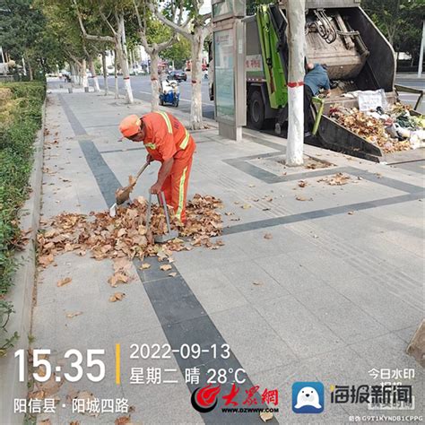 阳信县综合行政执法局加大清扫落叶力度 保障城区环境整洁阳信滨州大众网