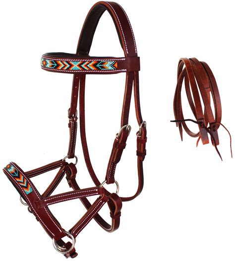 Western Bridle And Reins At Patrick Lauzon Blog