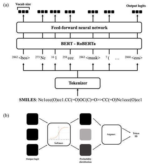 A Diagramme Of Model Structure Of Chemmlm A Transformation Of