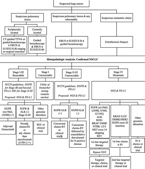 Approach To Tissue Biopsy And Biomarker Testing And Treatment In Nsclc Download Scientific