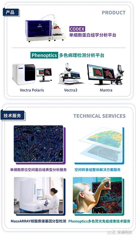 组织切片多色荧光（mif Mihc）最多能做几色？看9 40色标记分析如何轻松实现 知乎