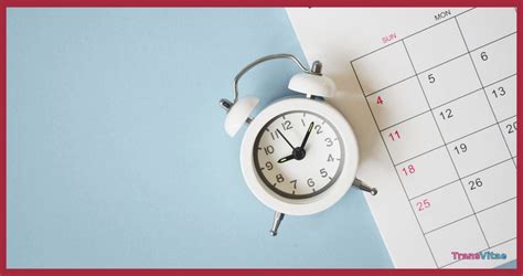 Mtf Transition Timeline A Guide For Every Step Transvitae