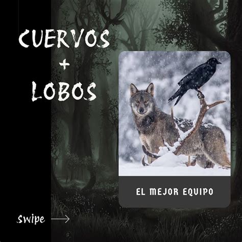 Mon Valenzuela ¿conocías Esta Increíble Relación Cuervos Lobos
