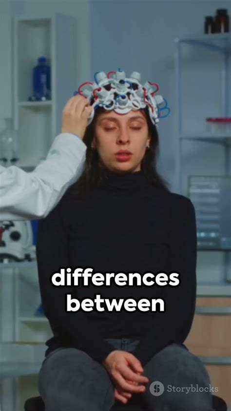 Brain Sex Fact The Pursuit Of Pleasure Youtube
