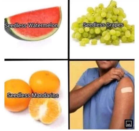 Gmos Genetically Modified Organisms R Conspiracymemes