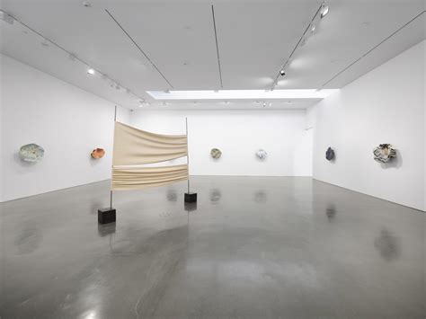 Liz Larner Exhibitions Regen Projects