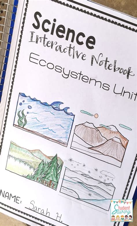 Ecosystems Interactive Notebook Worksheets Food Chain Producers And Consumers Ecosystems
