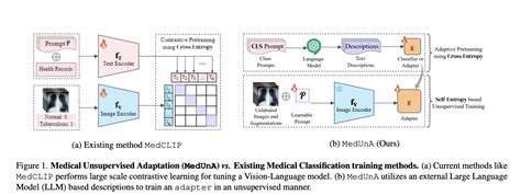 meduna efficient medical image classification through unsupervised