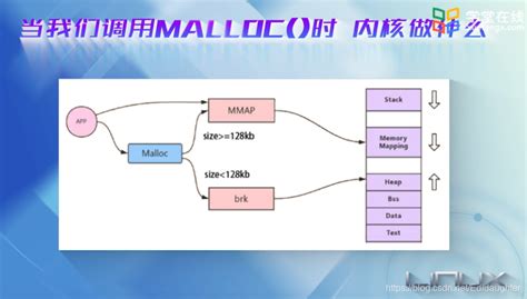 【linux内核分析与应用 陈莉君】物理内存分配与回收机制上linux内核分析与应用 陈莉君答案 Csdn博客