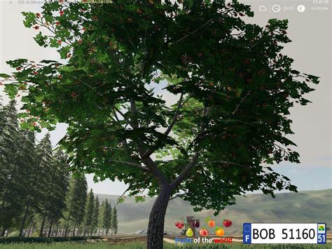 FS 19 Fruits Trees V1 0 0 0 FS 25 Modding LS25 Mod Download