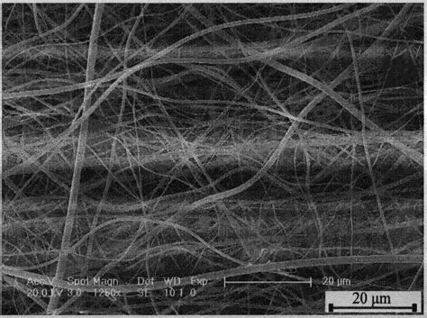 Preparation Method Of Coaxial Three Layer Nano Cable Nio Sno2 Tio2 Eureka Patsnap