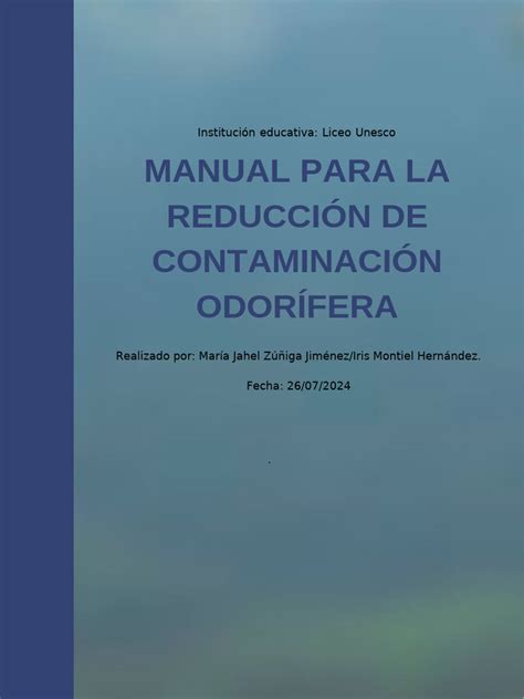 manual 2024 pdf