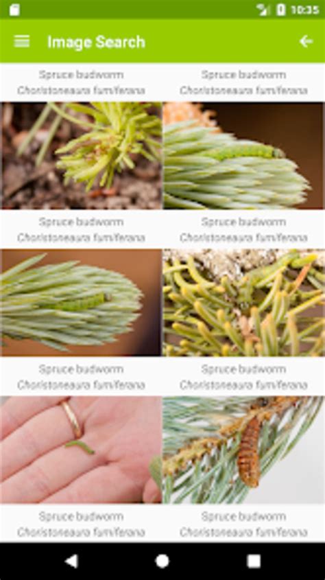 Bugfinder For Android Download