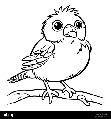 Dibujos Para Colorear De Aves Realistas