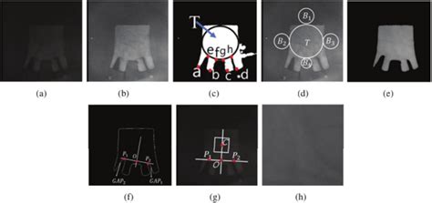 Device Design System Implementation Roi Extraction