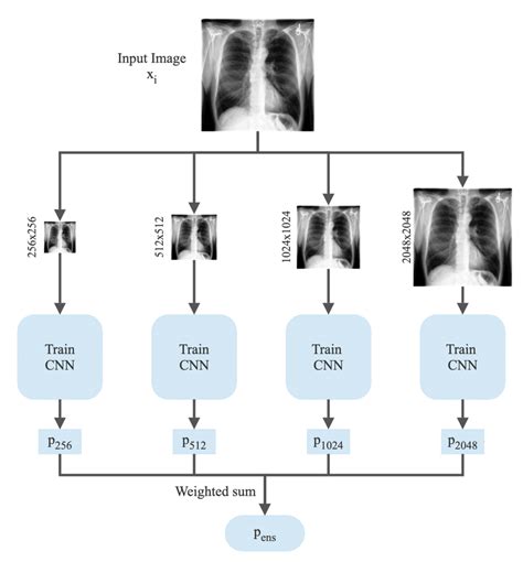 workflow for the stacked ensemble model for a single input image