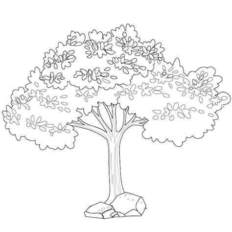 Tree Branch Coloring Pages Coloring Nation