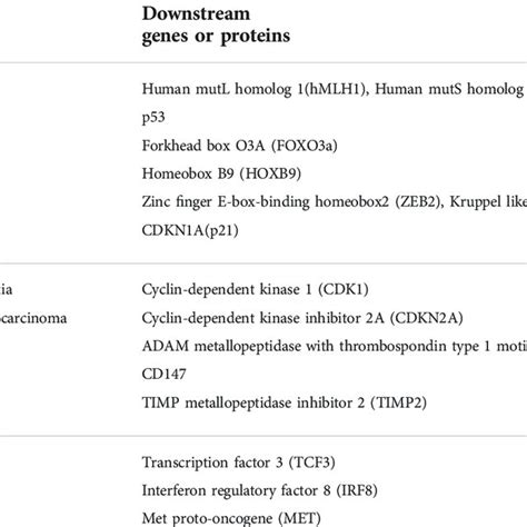 Downstream Genes Or Proteins Of Dnmts In Cancers Download Scientific